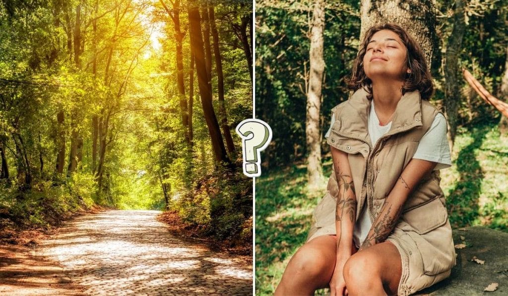 QUIZ: Datos curiosos de la naturaleza